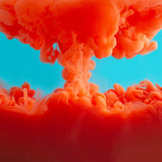 Envato — Unlimited creative assets, all in one place.